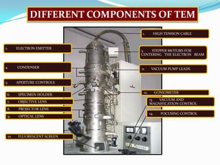 transmission electron microscopy | PPTX