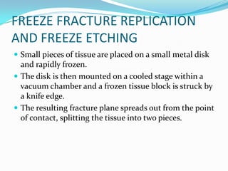 transmission electron microscopy | PPTX