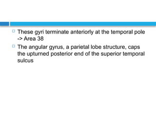 Presentation on temoral lobe of brain regarding its anatomy | PPTX