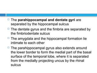 Presentation on temoral lobe of brain regarding its anatomy | PPTX