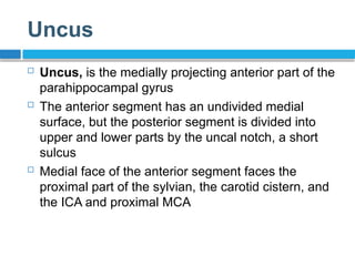 Presentation on temoral lobe of brain regarding its anatomy | PPTX