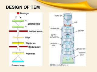 Tem or transmitted electron microscopy | PPT