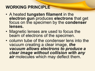 Tem or transmitted electron microscopy | PPT