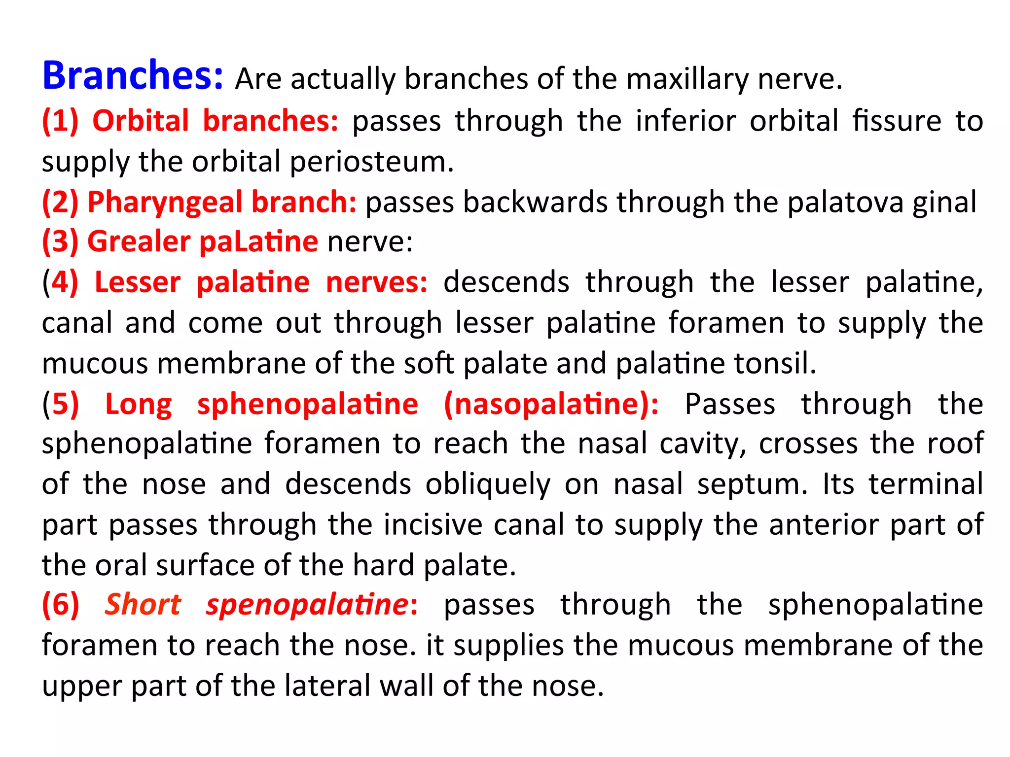 Temporal and infratemporal region part 3 | PDF