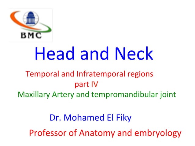 Temporal and infratemporal region part 4 | PPT