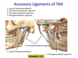 Temporal and infratemporal region part 4 | PDF