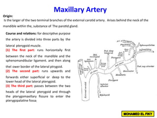 Temporal and infratemporal region part 4 | PDF