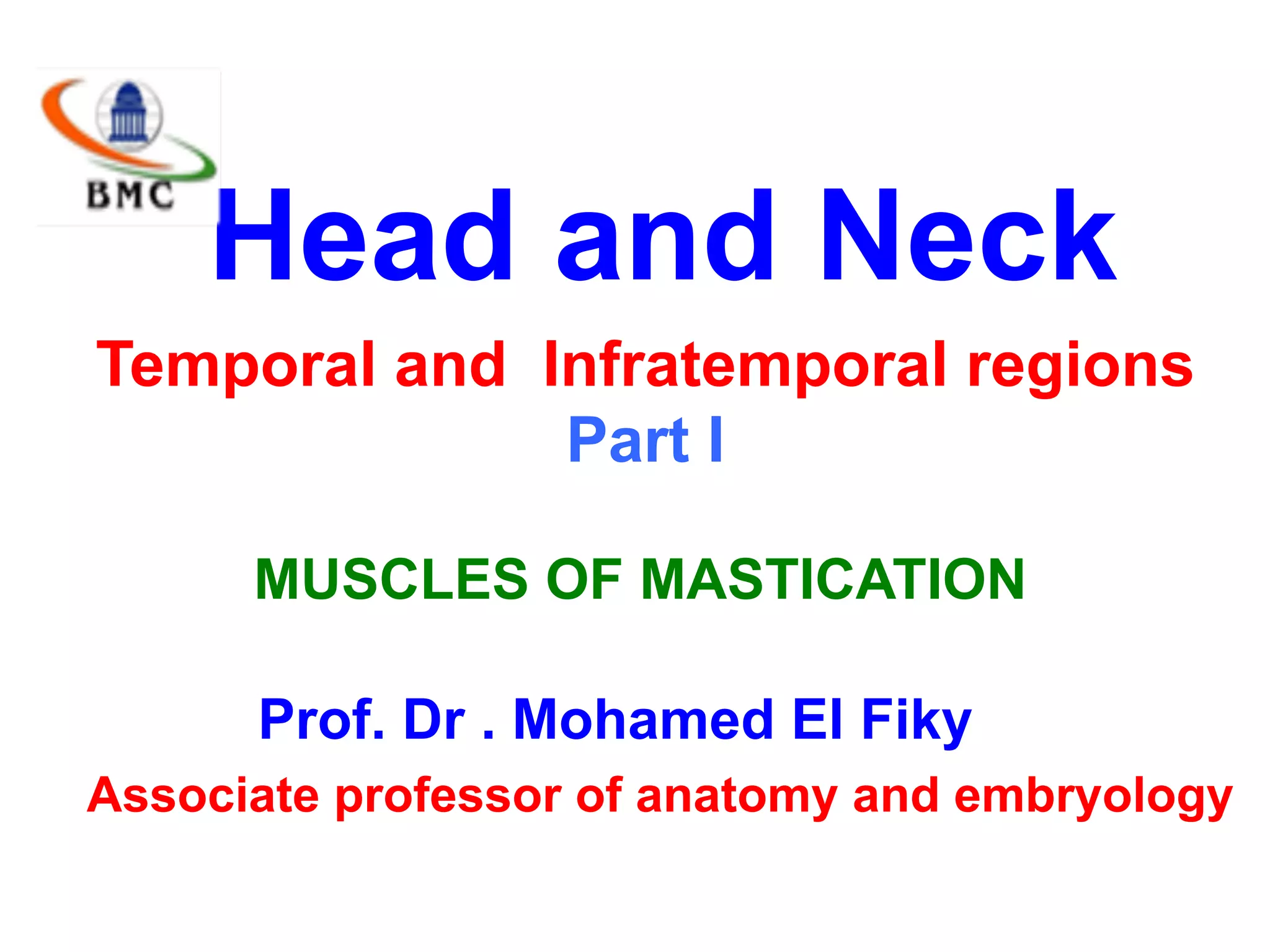 Temporal and infratemporal region part 1 | PDF