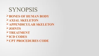 Musculo skeletal system of a human body with illustrations | PPTX