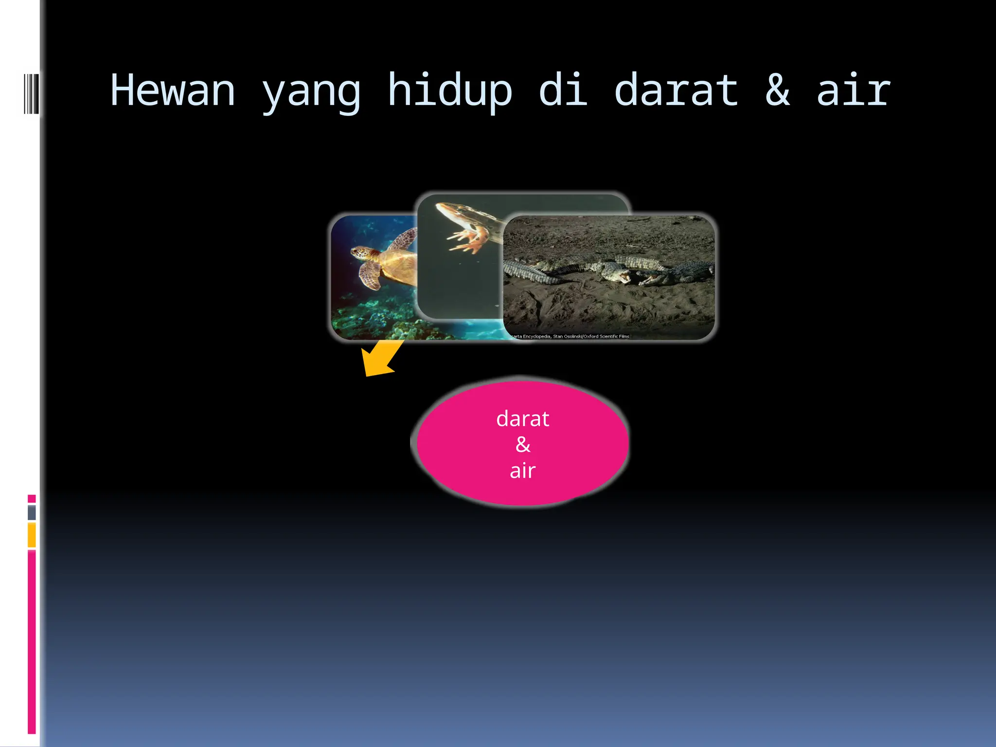 Tempat Hidup Makhluk Hidup yang ada.pptx