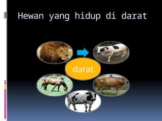 Tempat Hidup Makhluk Hidup yang ada.pptx