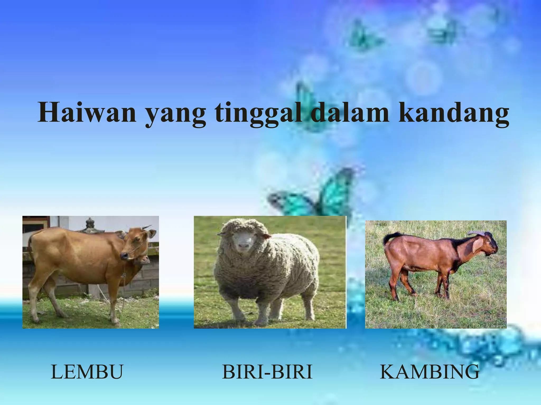 Tempat tinggal haiwan | PPTX