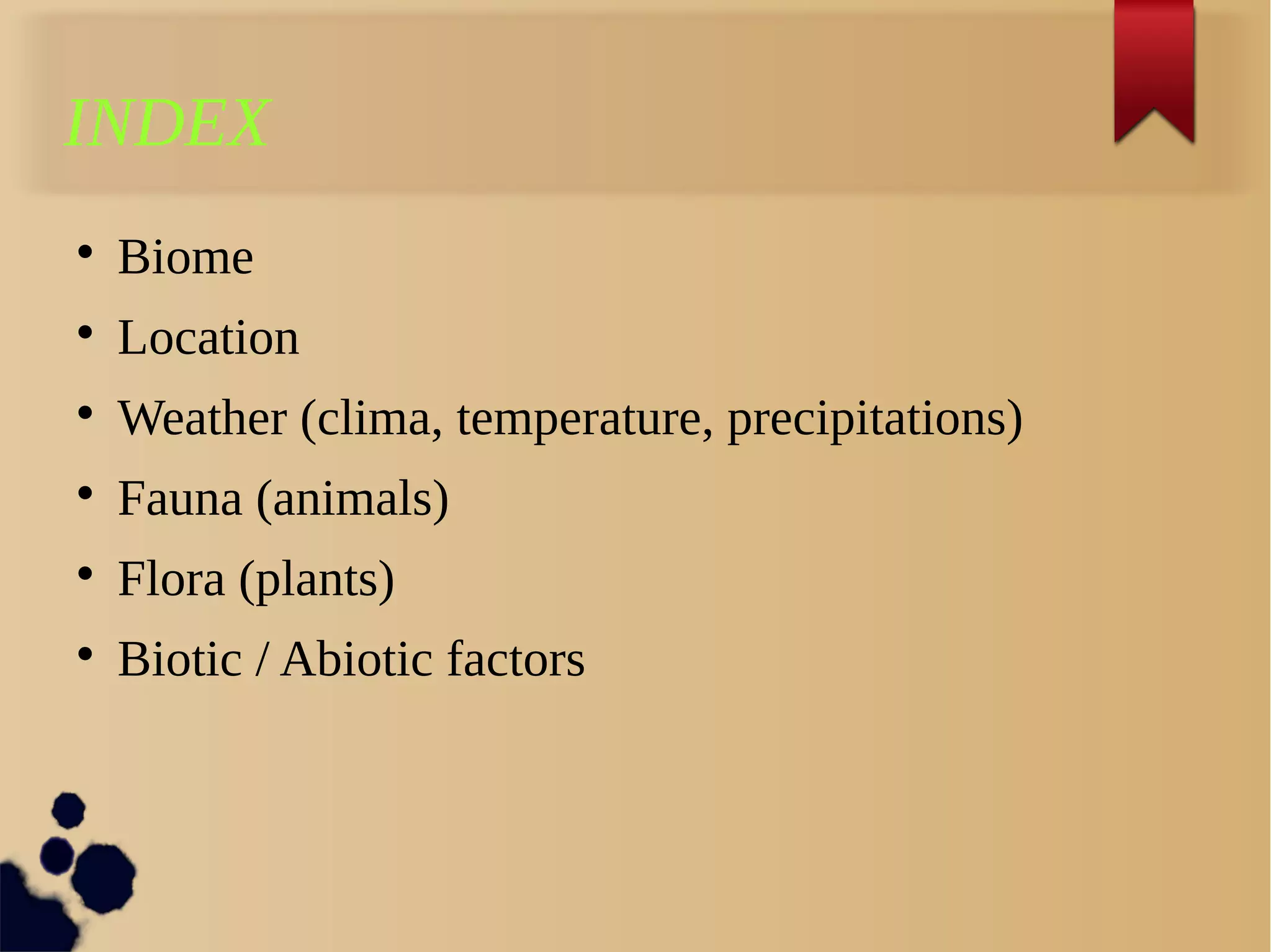 TEMPERATE DECIDUOUS FOREST | ODP
