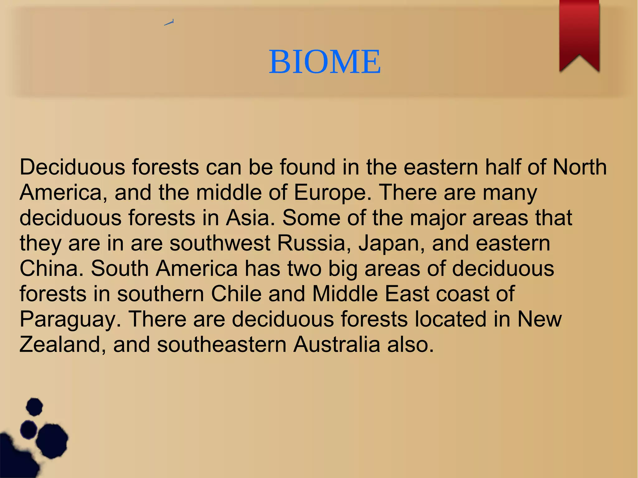 TEMPERATE DECIDUOUS FOREST | ODP