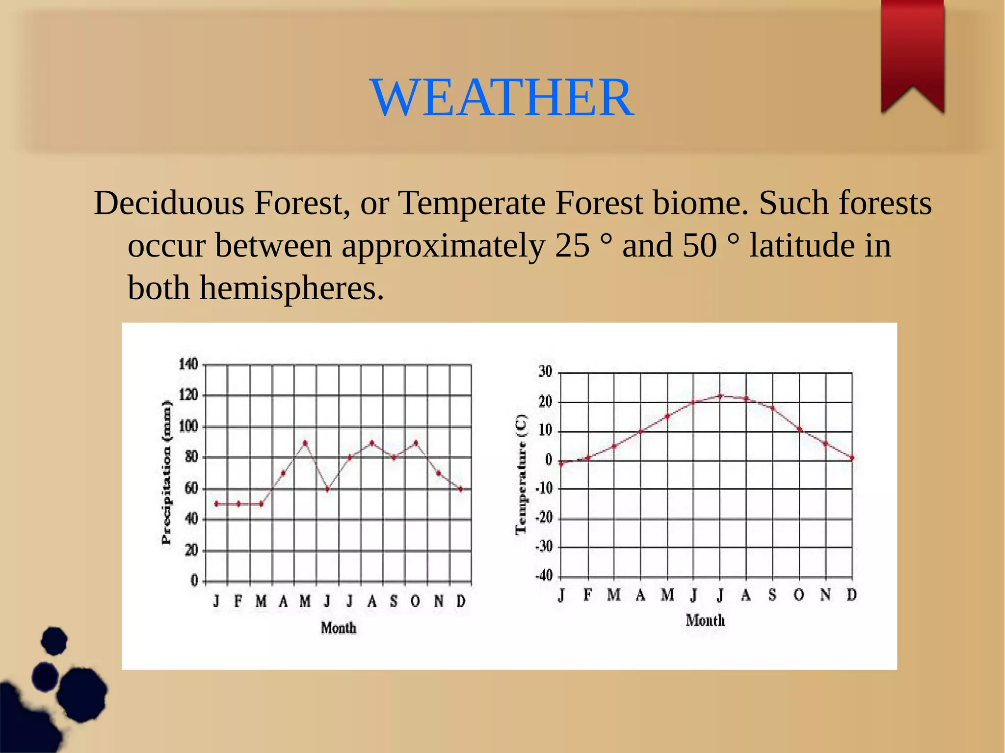 TEMPERATE DECIDUOUS FOREST | ODP