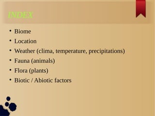 TEMPERATE DECIDUOUS FOREST | ODP