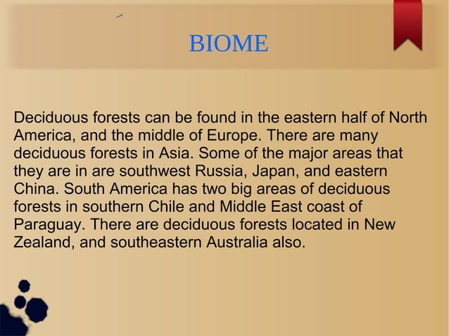 TEMPERATE DECIDUOUS FOREST | ODP | Geography | Science