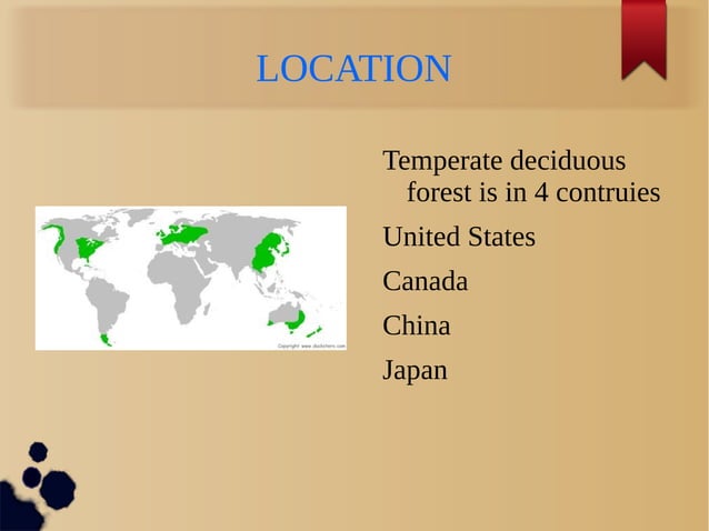 TEMPERATE DECIDUOUS FOREST | ODP | Geography | Science