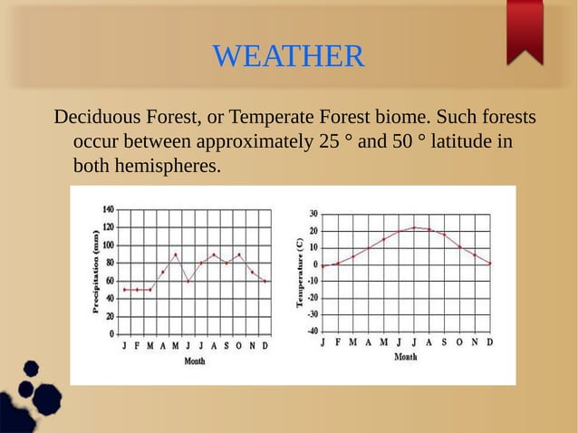 TEMPERATE DECIDUOUS FOREST | ODP | Geography | Science