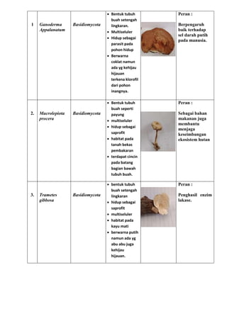 Hasil praktikum menganalisis struktur jamur pada pembuatan tempe | PDF