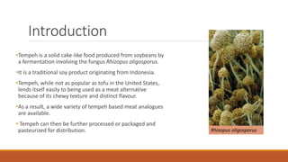 Tempeh & probiotics | PPT