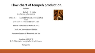 Tempeh & probiotics | PPTX