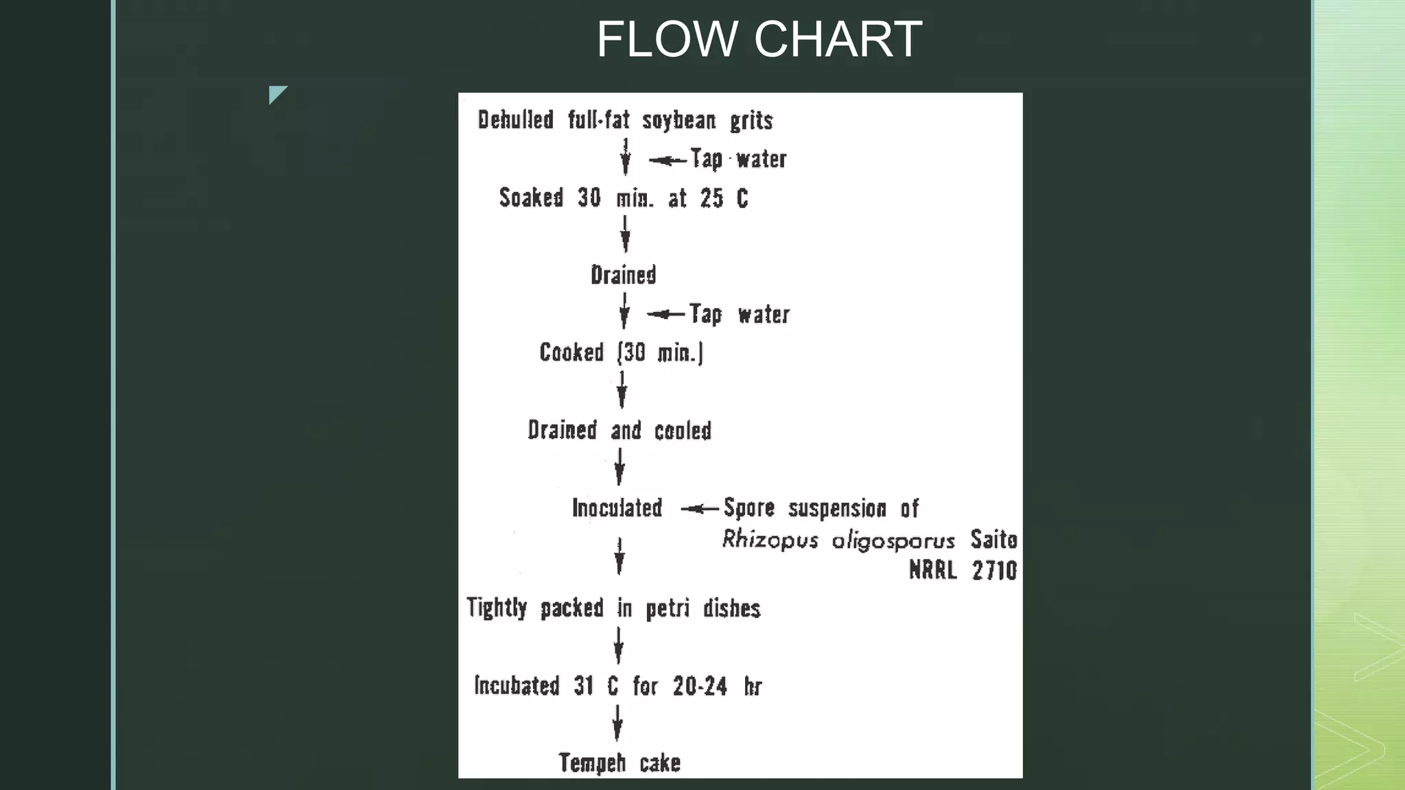 Tempeh production | PPTX