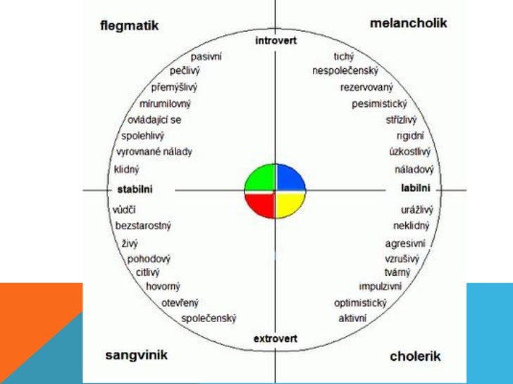 Temperament (Michal Kubánek)