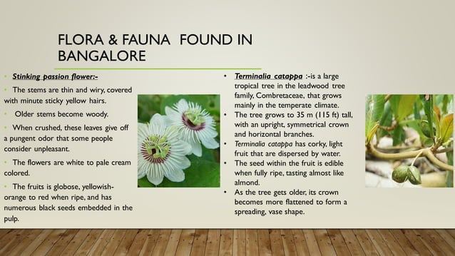 Temperate Climate India | PDF