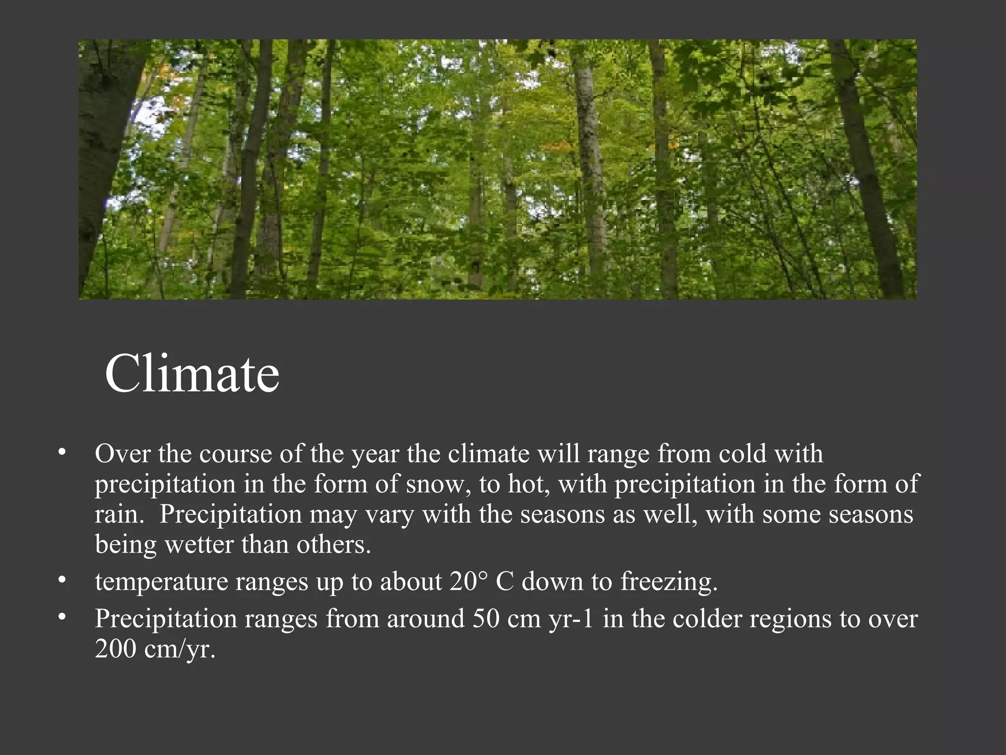 Temperate Deciduous Forest | PPT