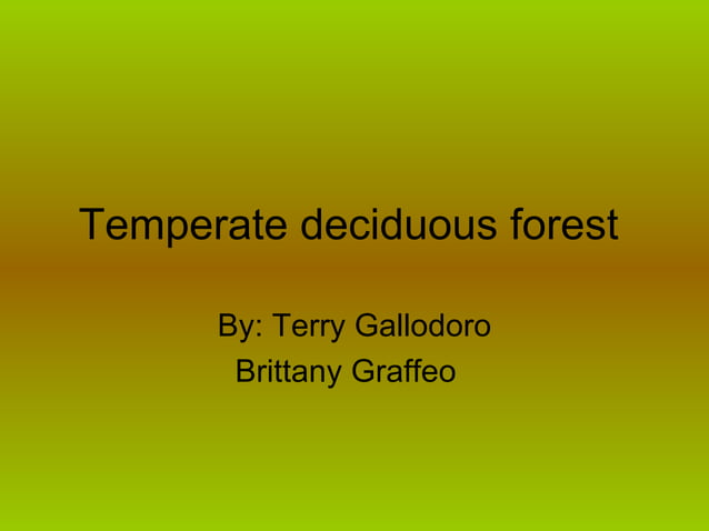 Temperate Deciduous Forest Bg, Tg | PPT