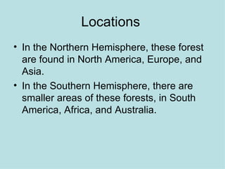 Temperate Deciduous Forest Bg, Tg | PPT