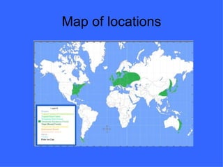 Temperate Deciduous Forest Map