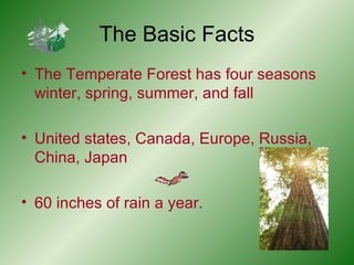 Temperate Forest | PPT