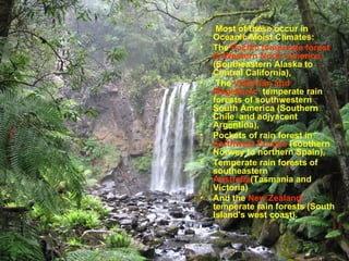 Temperate Rain Forest | PPS