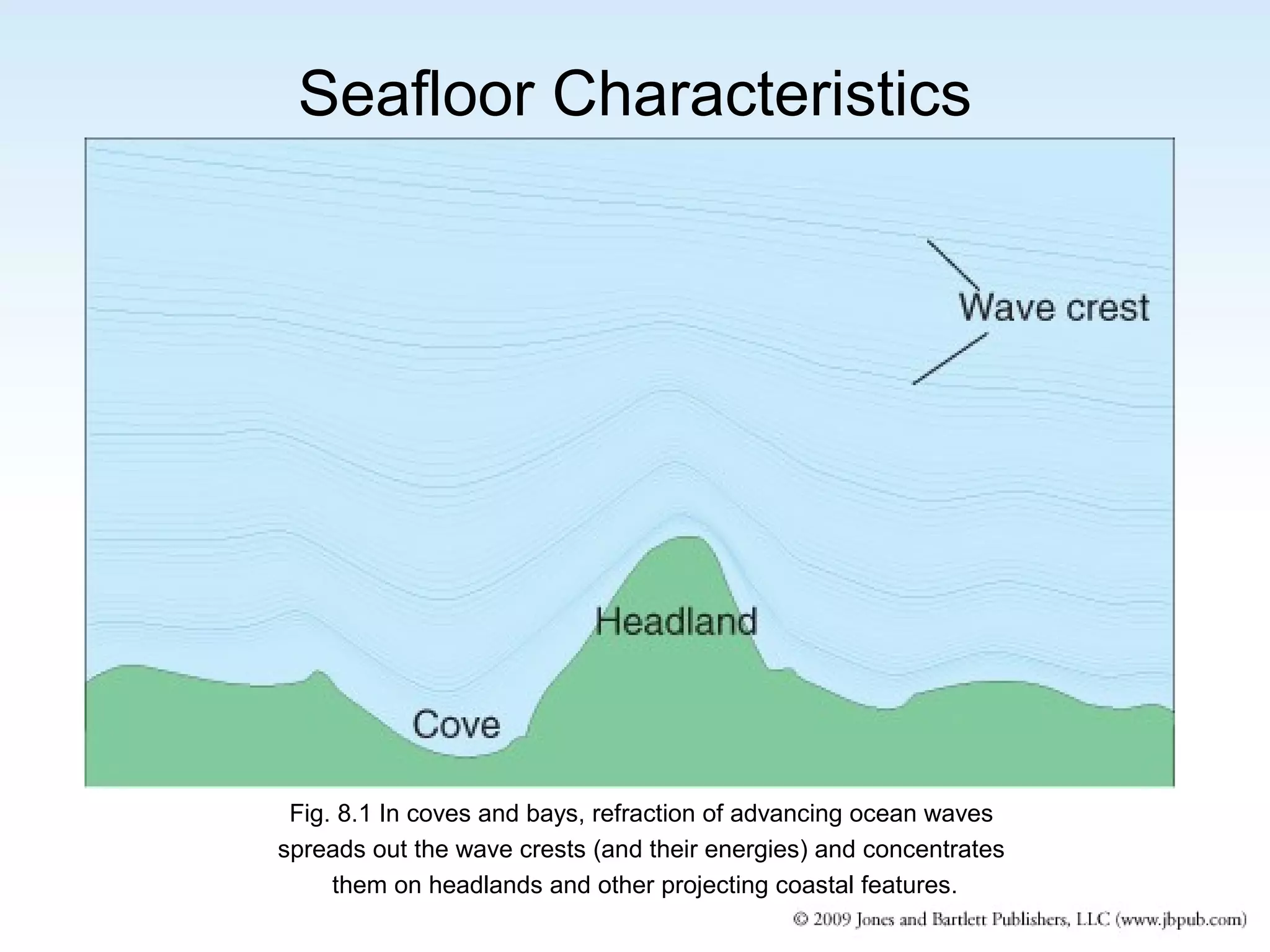 Temperate coastal seas | PPT