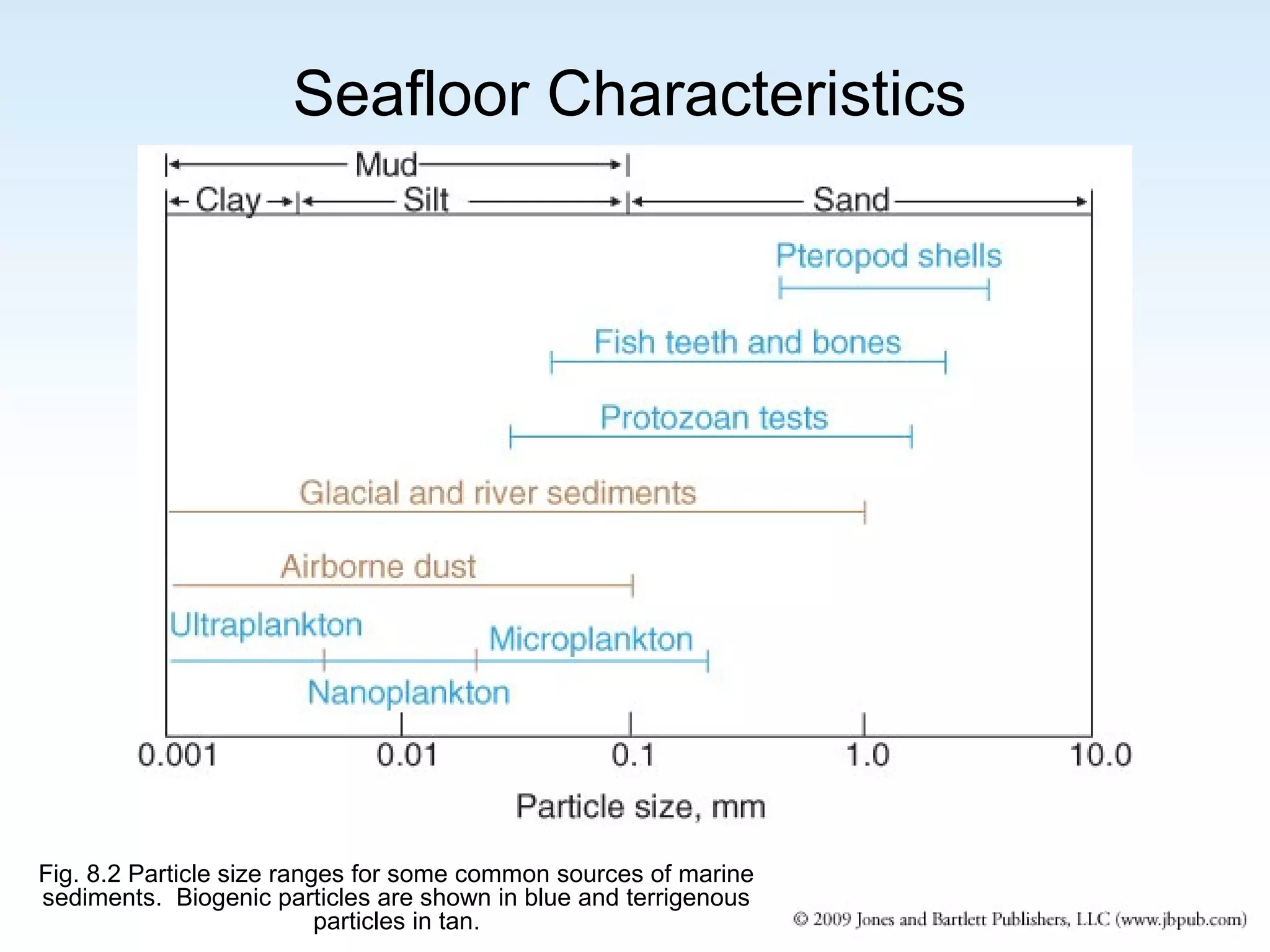 Temperate coastal seas | PPT