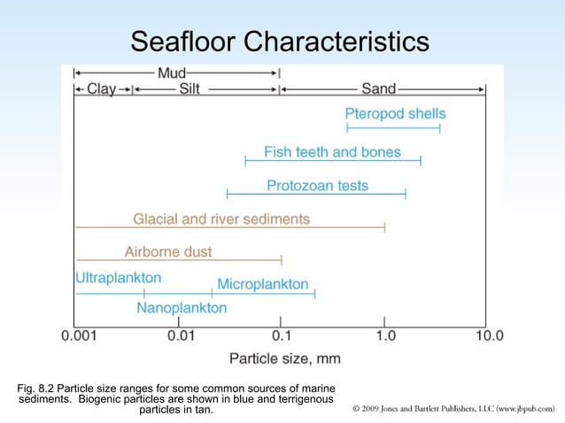 Temperate coastal seas | PPT