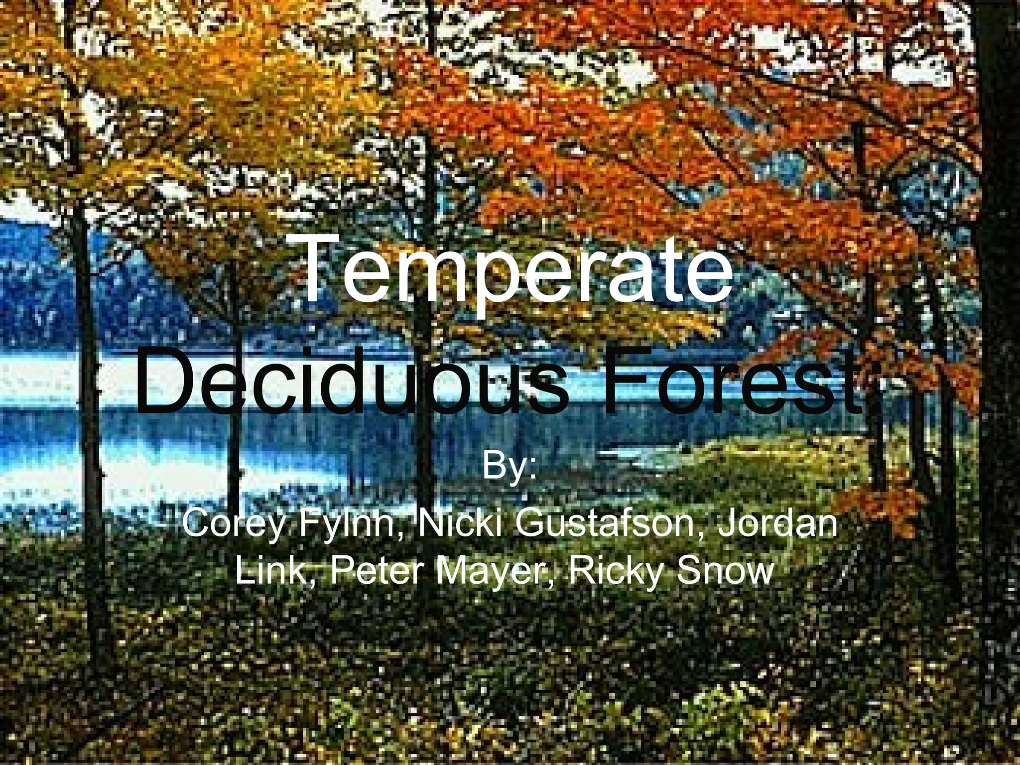 Temperate Deciduous Forest | PPT