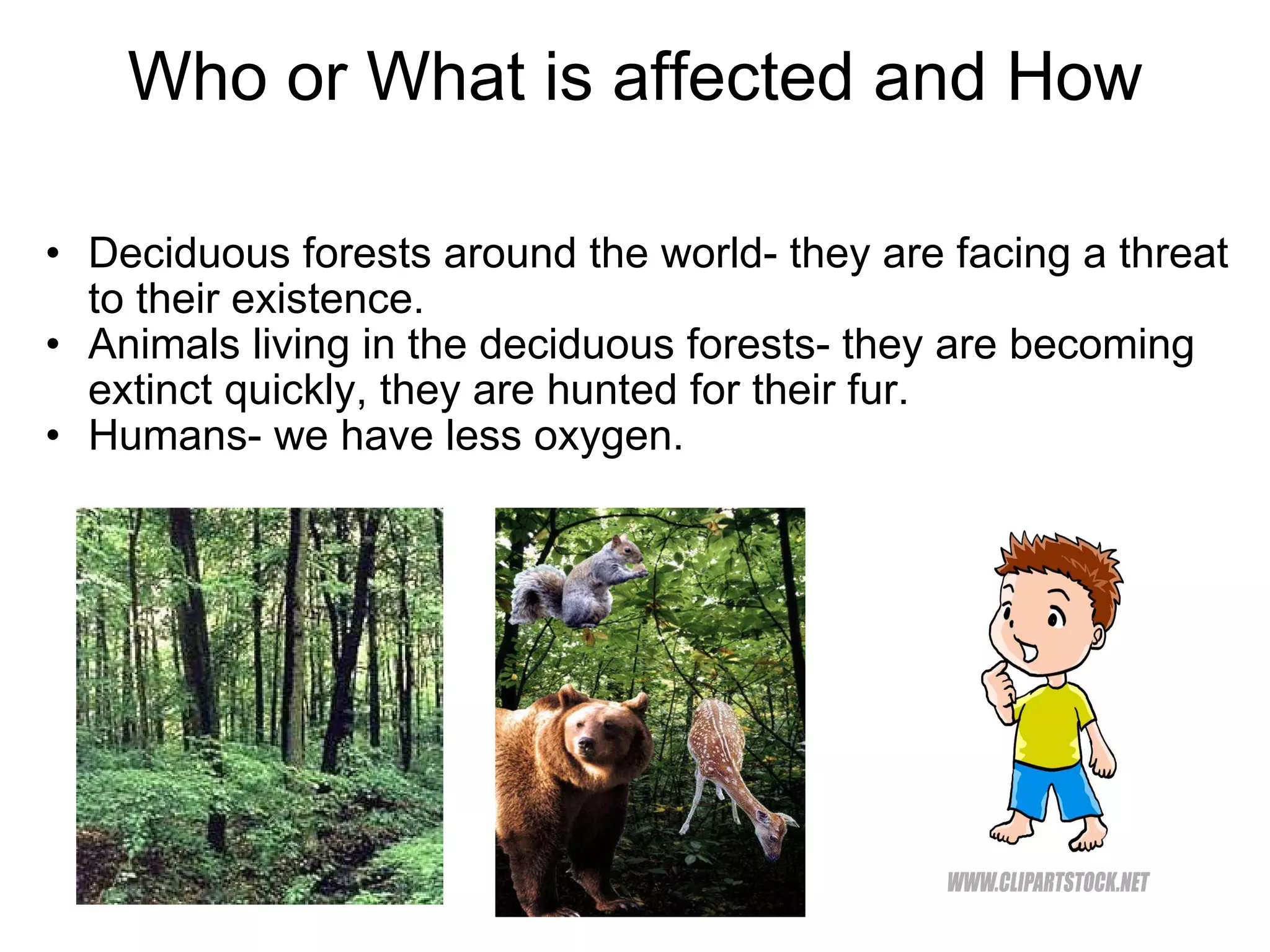 Temperate deciduous forest | PPT