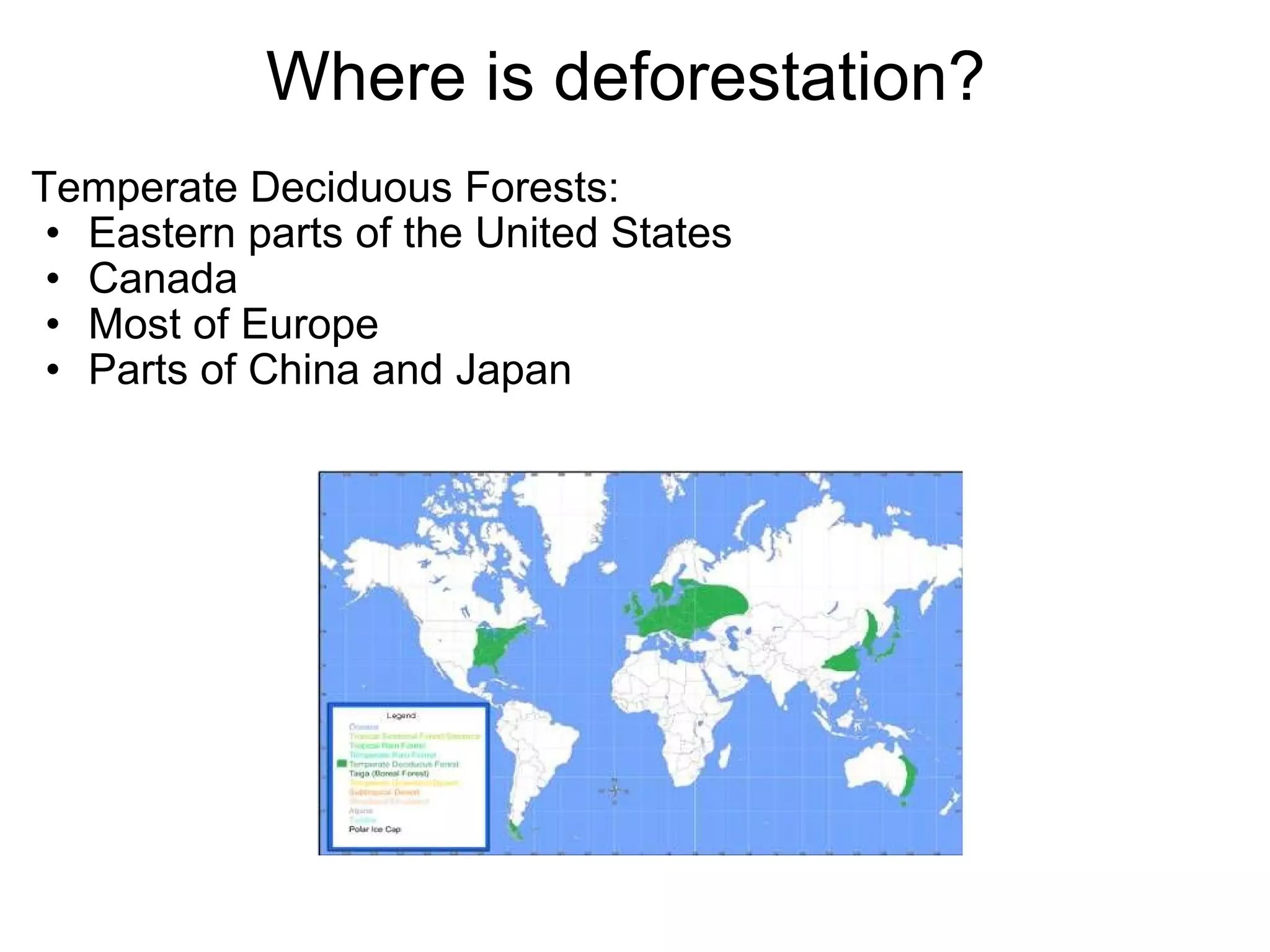 Temperate deciduous forest | PPT