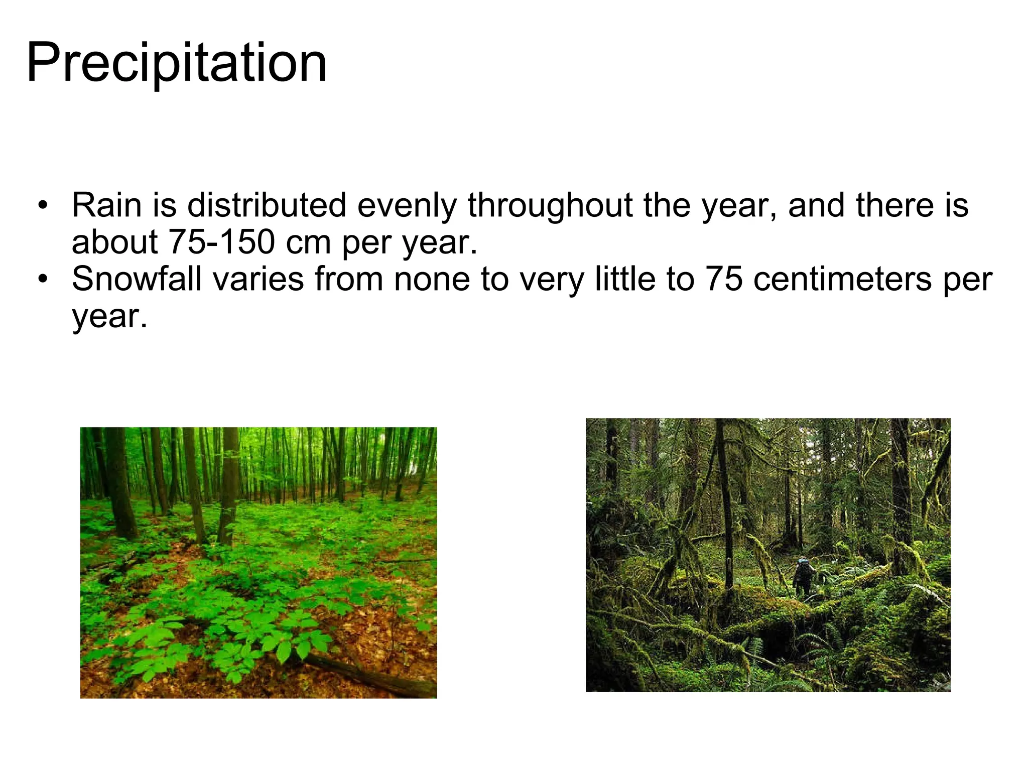Temperate deciduous forest | PPT