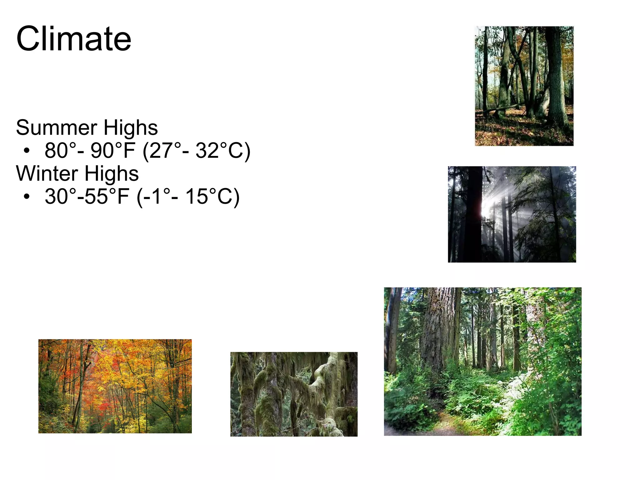 Temperate deciduous forest | PPT