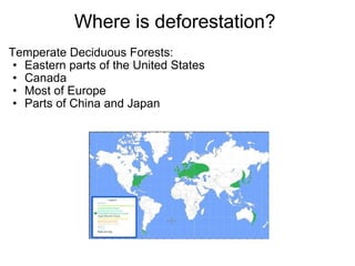 Temperate deciduous forest | PPT