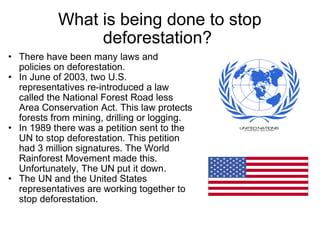 Temperate deciduous forest | PPT