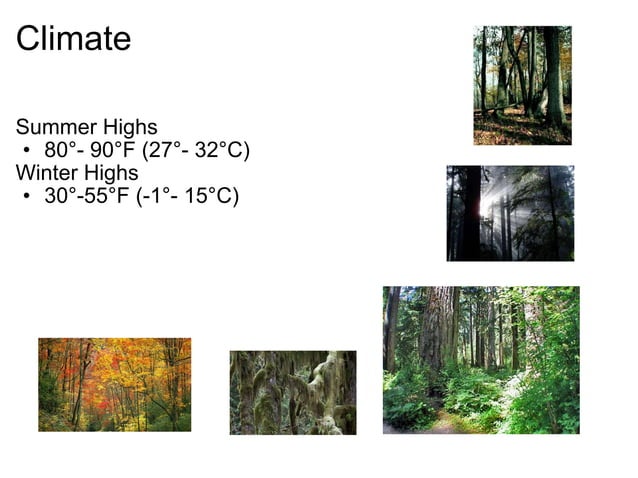 Temperate deciduous forest | PPT