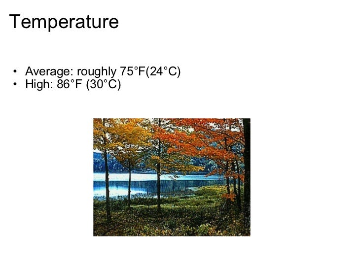 Temperate deciduous forest