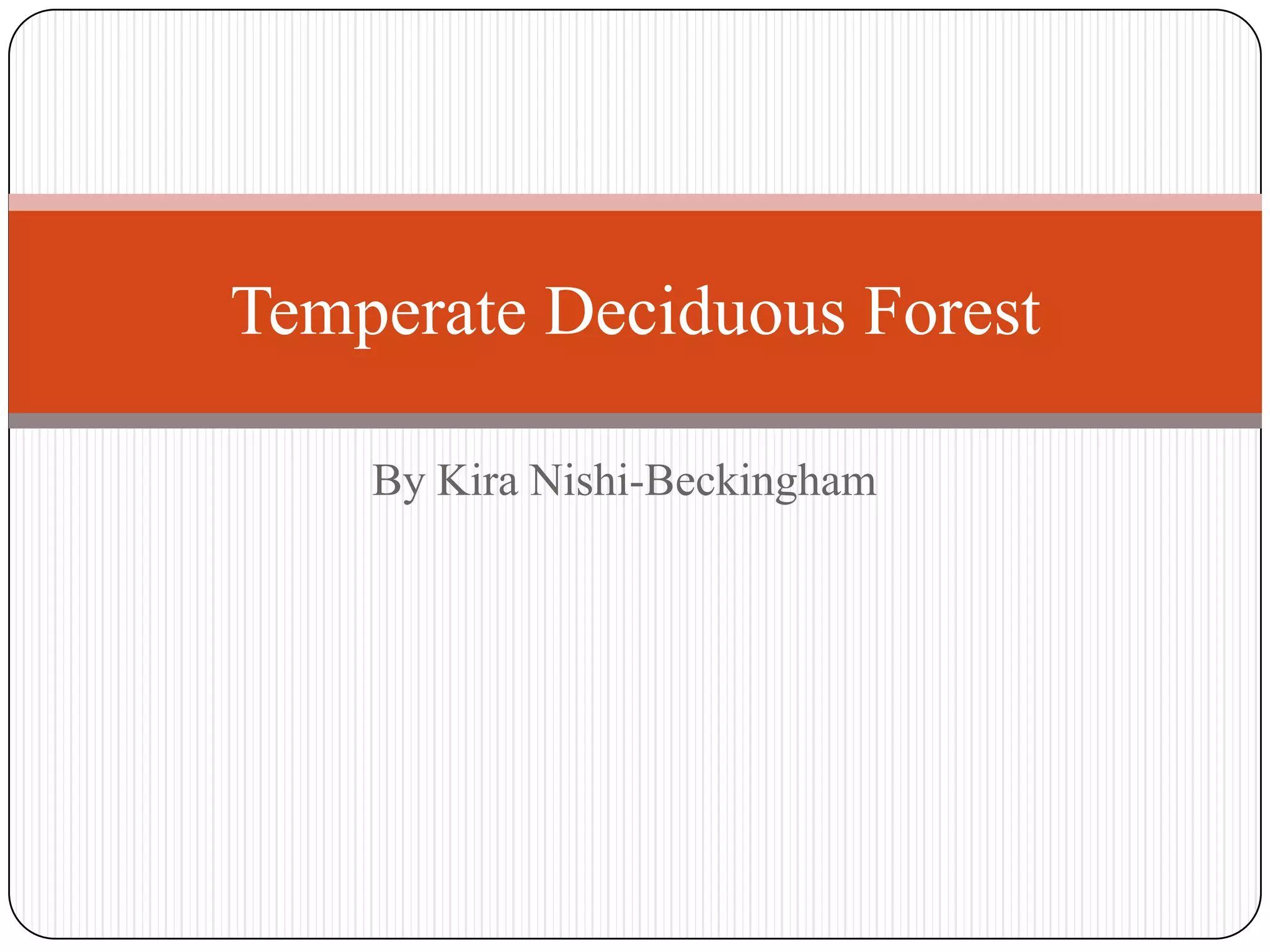Temperate Deciduous Forest | PPT