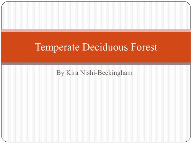 Temperate Deciduous Forest | PPT