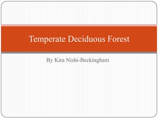 Temperate Deciduous Tertiary
